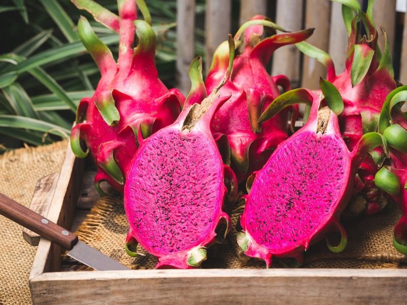 Najdziwniejsze owoce świata – zaskakujące egzotyczne smaki - Bryk.pl