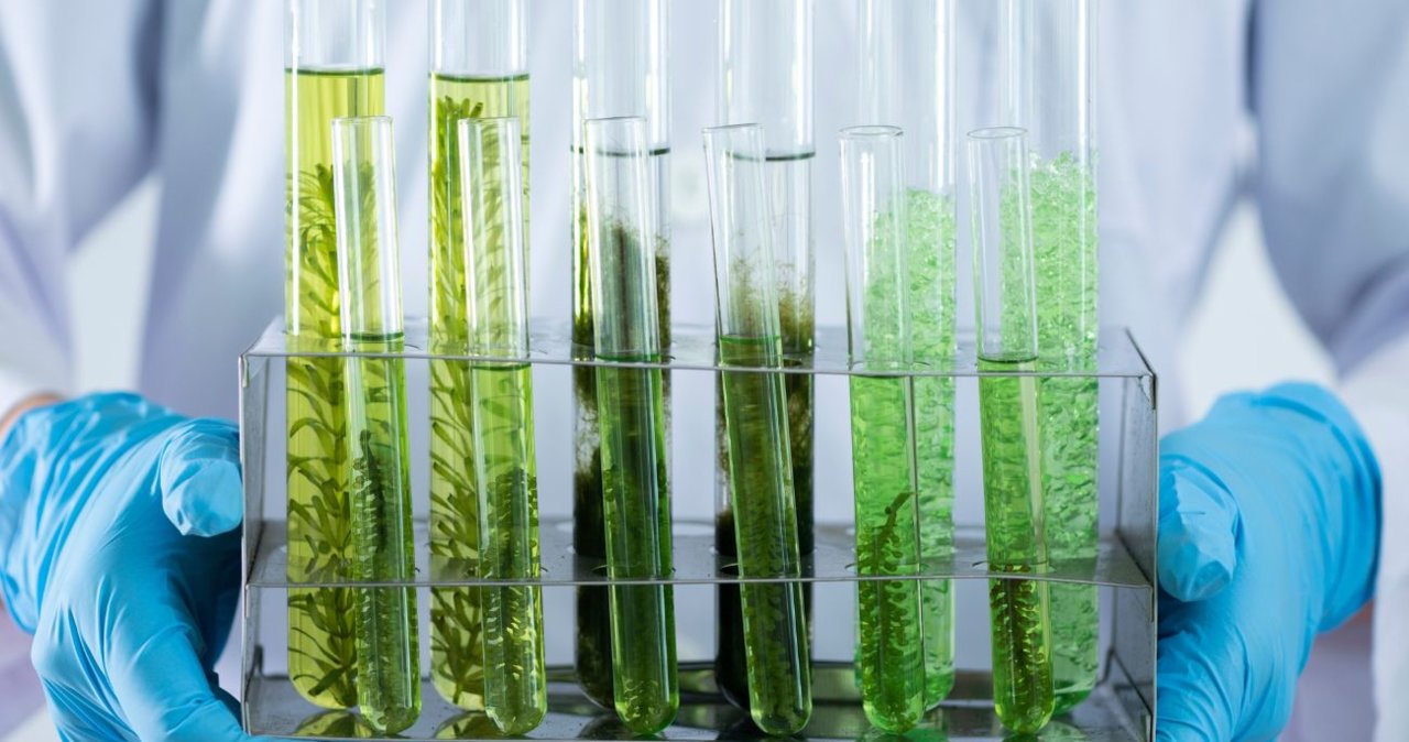 SBBE – jeden z najbardziej obleganych kierunków. Dlaczego? - Bryk.pl