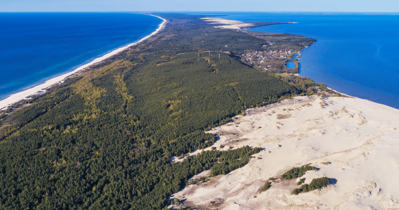 Mierzeja Kurońska nad Bałtykiem – rekordowe wydmy i odtworzony las ...