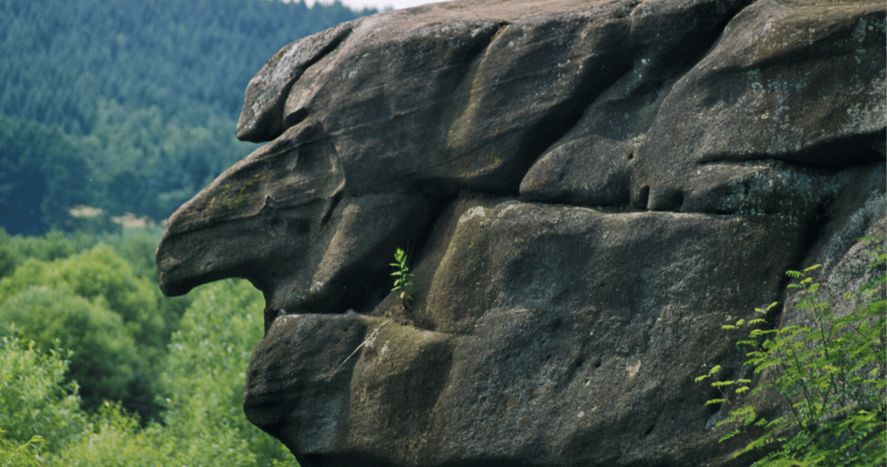 Skamieniałe Miasto w Ciężkowicach. Wakacyjny przewodnik dla turystów ...